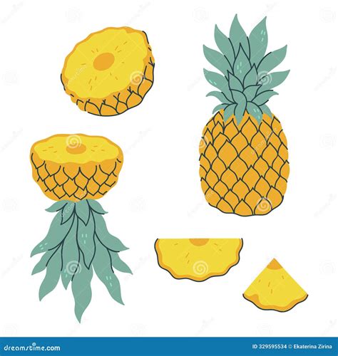 Set Of Pineapple And Pieces Isolate On White Background Vector