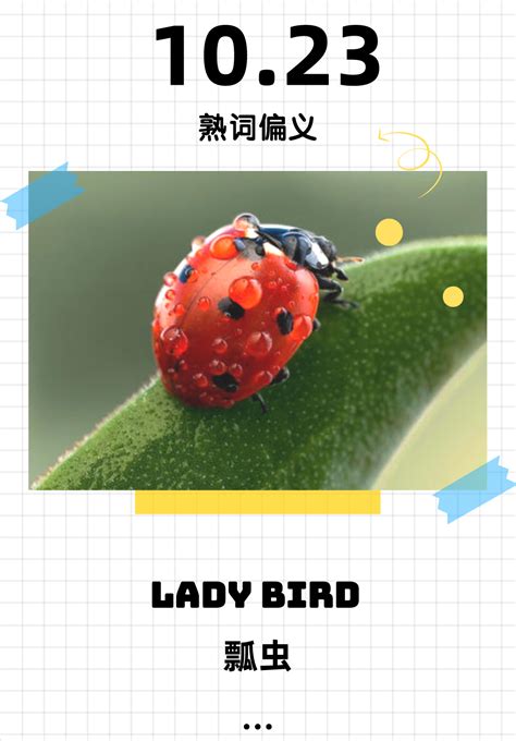 知识篇熟词偏义 lady bird 是lady还是bird呢 知乎