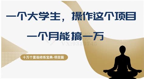 十万个富翁修炼宝典之4 一个大学生操作这个项目一个月能搞一万