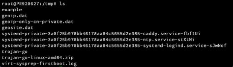 在自己的vps上运行trojan Go客户端 对接自己的服务端 排错 Troubleshoot