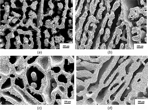 Cross Sectional Images Of Porous Structures Obtained For Different Download Scientific Diagram