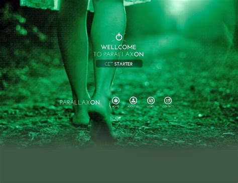 Best Adobe Muse Templates Webprecis