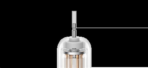 A Splendid Rotating Electric Toothbrush Of 2024