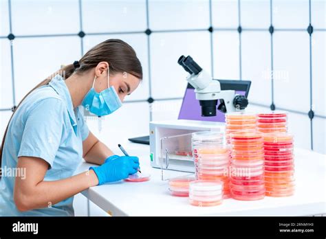 Genetic Diversity Analysis Petri Dishes Can Be Used To Assess Genetic