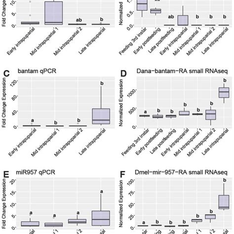 Comparison Of Expression Qpcr And Rnaseq Expression Of Qpcr
