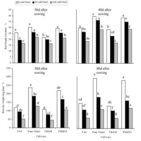 Effect Of Nacl Stress On Root Length And Root Dry Weight Of Mung Bean