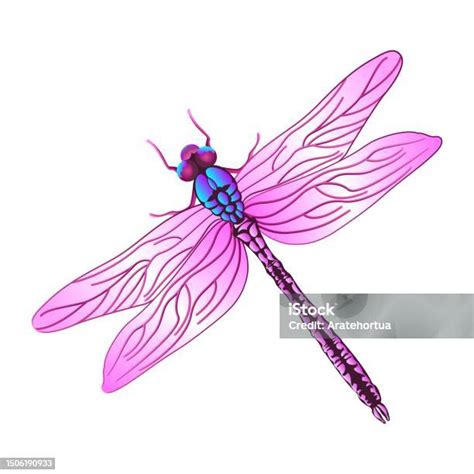 Kartun Vektor Drangonfly Karakter Terisolasi Ilustrasi Ilustrasi Stok