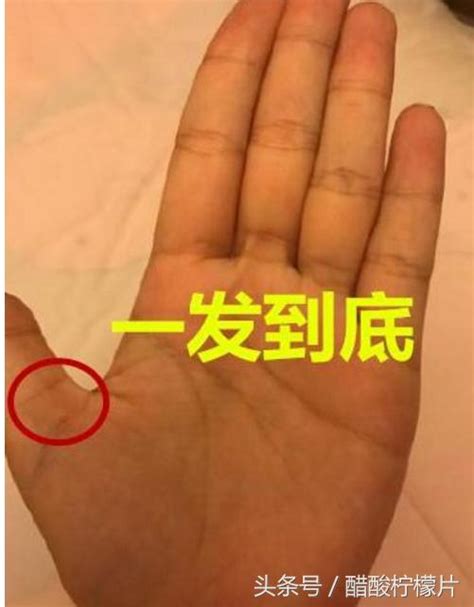 男旺財，女旺夫的手相，天生好命好運無敵難擋，千萬不要錯過！ 每日頭條