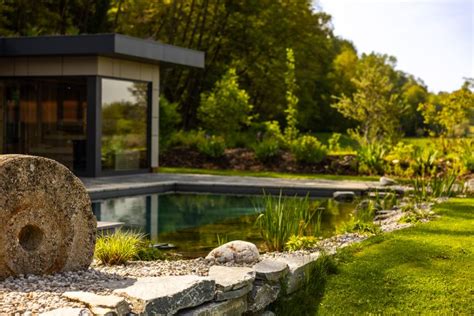Schwimmteiche Und Naturpools Kreuzer Pflanzen GmbH Co KG