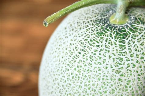 5月～8月が食べごろ、夏の王様「メロン」！
