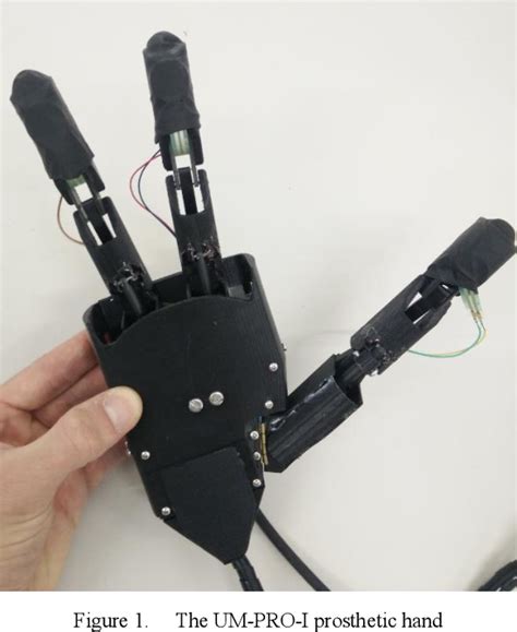 Figure 1 From Prototype Development Of A Prosthetic Derivative Of The