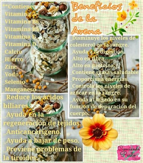 Beneficios De La Avena Para La Salud Comiendo Pasto Tahimi Facebook