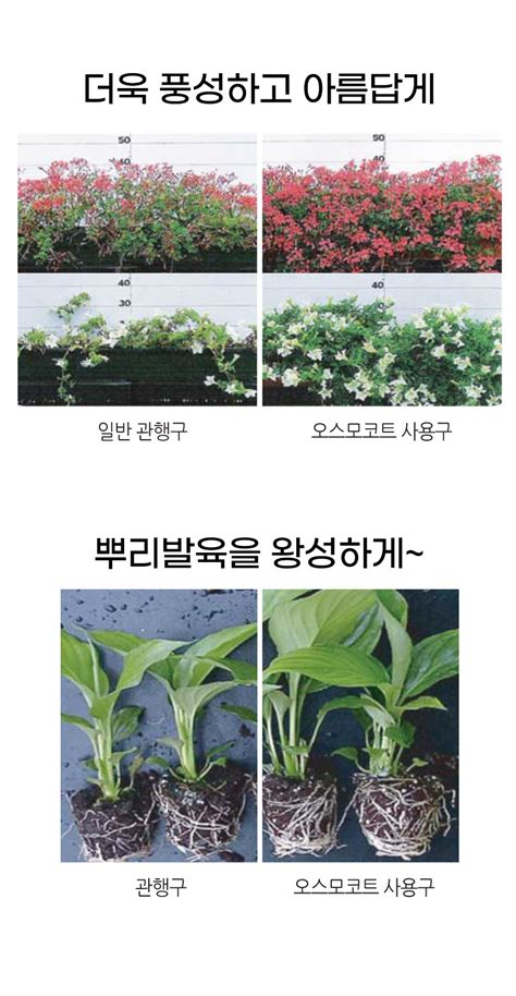 가드닝용품 오스모코트 6개월 1kg 대용량 식물영양제 콩기름코팅 완효성 알비료 오늘의집 쇼핑