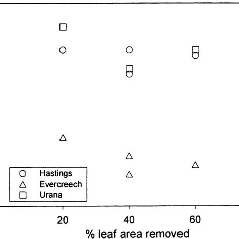 the relationship between tree height relative to height of unpruned