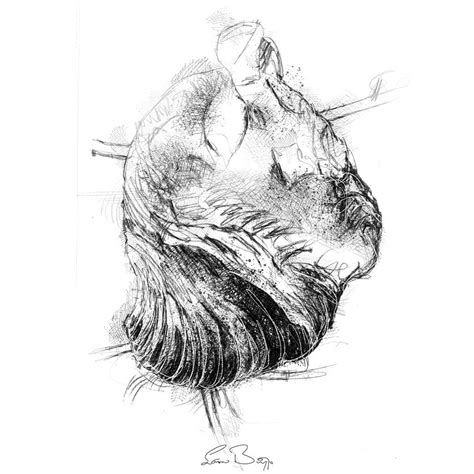 Wasp Nest Sketch Seanbriggs