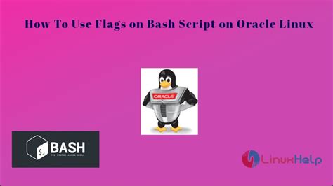 How To Use Flags On Bash Script On Oracle Linux Youtube