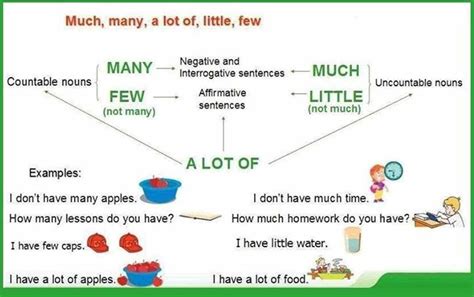 Quantifiers Answer Questions Such As How Many And Or How Much