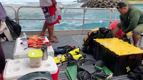 manu a islands ofu olosega and ta u november 2019 american samoa