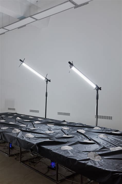 Phase In Phase Out On Behance