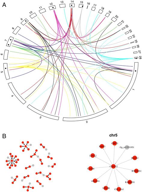 A Circular Genome Plot Of Putative Trans Eqtl Hotspots The Points Show