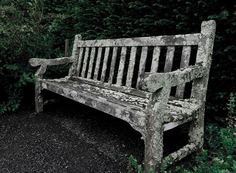 벤치 정원 공원 집 Pixabay의 무료 사진 Pixabay