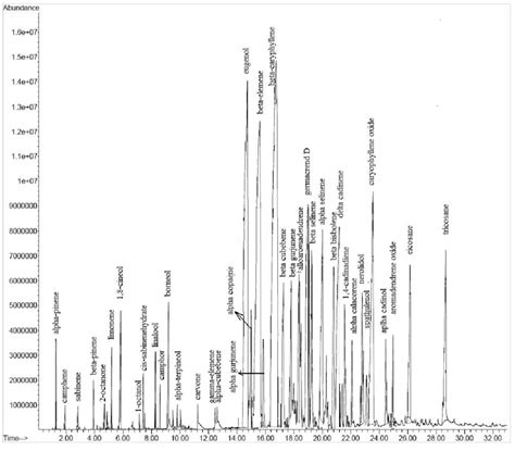 61a Typical Gc Ms Chromatogram Of Ocimum Sanctum Essential Oil