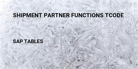 Shipment Partner Functions Tcode Table In Sap