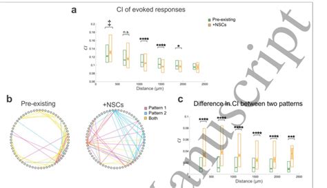 cross correlations in evoked responses to two different spatial input