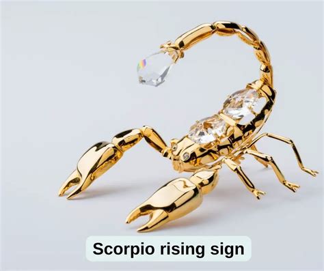 Scorpio Rising Sign