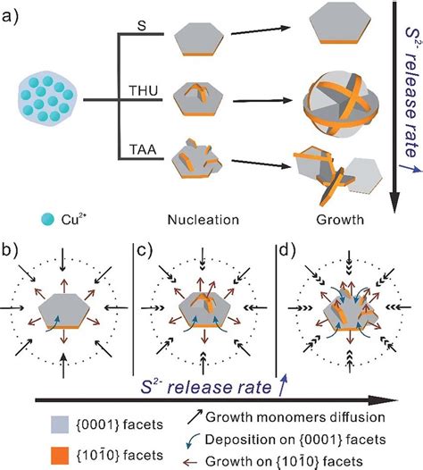 Schematic Illustration Of A The Formation Of A Cus Nanoplate A Cus