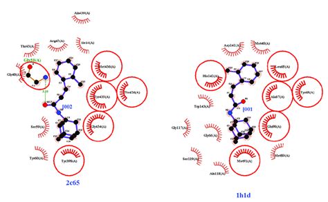 Observed Interactions After Docking Of Download Scientific Diagram