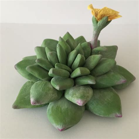 I Made This Fake Succulent For My Sister In Law Who Cant Seem To Keep