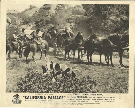 California Passage Forrest Tucker Adele Mara 1950 F O H Stills Set 8