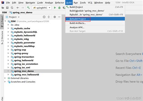 报错：error module ‘spring mvc demo‘ production java lang