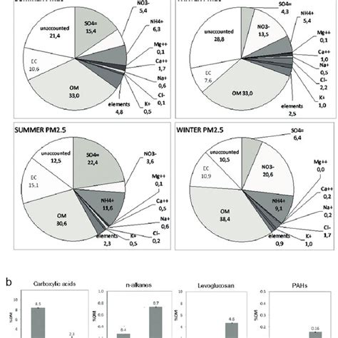 Pm Characterization A Chemical Composition Of Summer And Winter Pm10