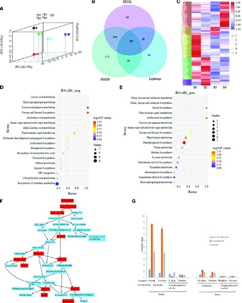 Metabolomes And Differential Expression Of Metabolomes Dems Of