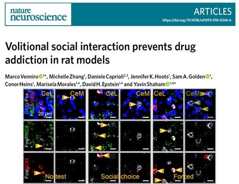 Advanced Cell Diagnostics Acd On Linkedin Learn Rnascope