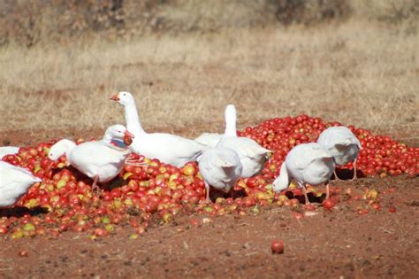 Go Geeper On Linkedin Go Geeper Linkedin