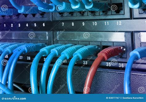Server Rack With Blue Internet Patch Cord Cables Stock Image Image Of Electronic Ethernet