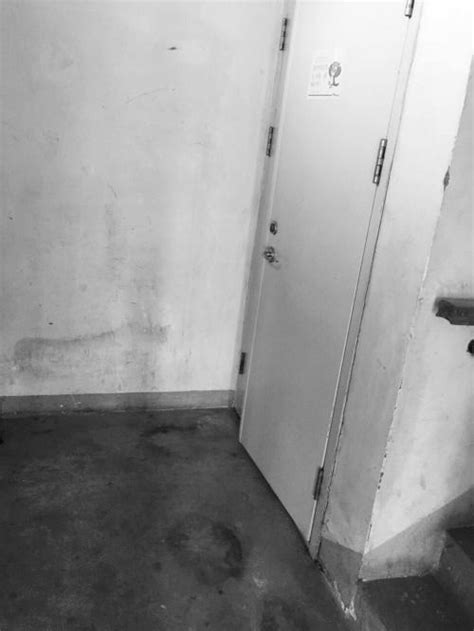 一小區個別樓道常現大小便污漬 到底是誰幹的 每日頭條