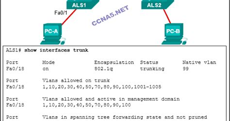 Ccna2 V60 Chapter 6 Exam Answers ~ Ccnaapp