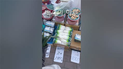 백수기록일기42 백수브이로그 브이로그 자취러 백수일상 요리로그 일주일브이로그 Vlog 시장 자취생 자취생