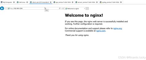 nginx服务建立 nginx服务器 csdn博客