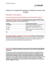 Cf Collaborative Strategies Template 7 Courtney Bradford 1 NEW Odt
