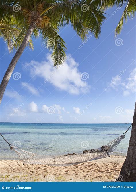 Hammock Between Palm Trees On The Seashore And The Blue Sky With Clouds