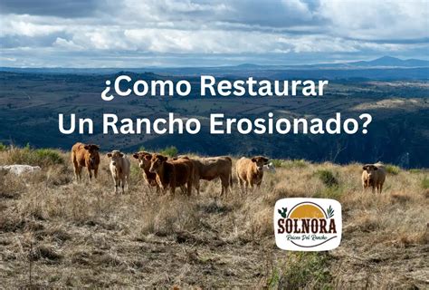 Cómo Restaurar Un Rancho Que Está Pelón” O Erosionado Solnora
