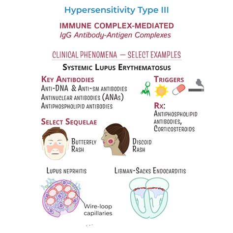 Clinical Pathology Glossary Hypersensitivity Type Iii Ditki Medical And Biological Sciences