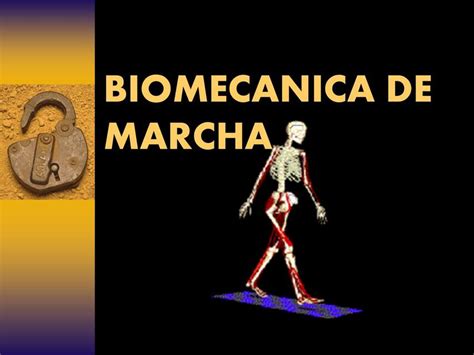 biomecanica marcha a1 | Danielhe Vera | uDocz