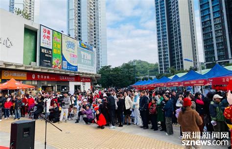 国风迎新 欢聚元旦 共建幸福美好高发社区深圳南山网 爱南山，就上南山网