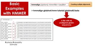 Introduction To Hmmer A Biosequence Analysis Tool With Hidden Markov Models Pptx Databases